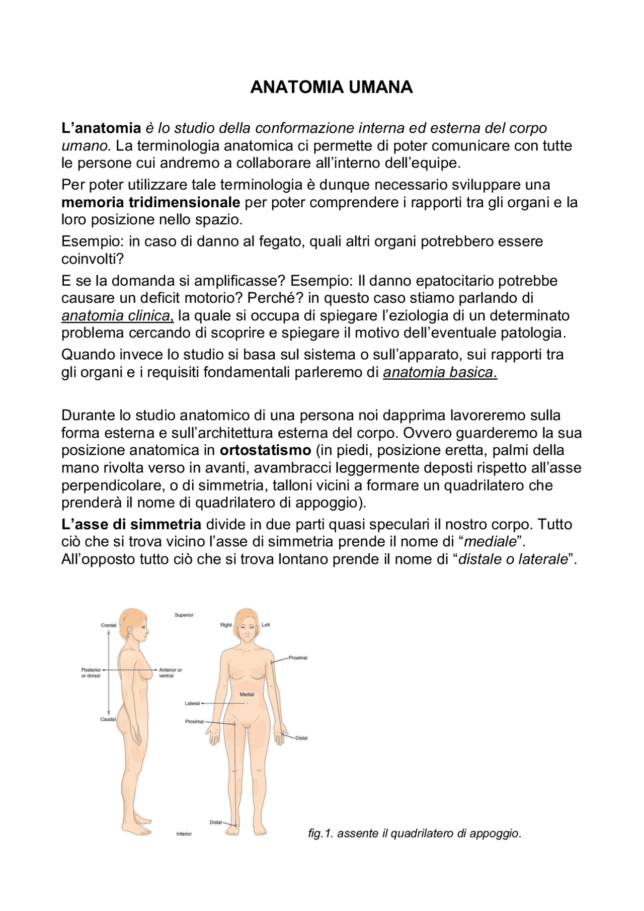 Anatomia Umana Dello Scheletro Sbobinature Di Anatomia Docsity