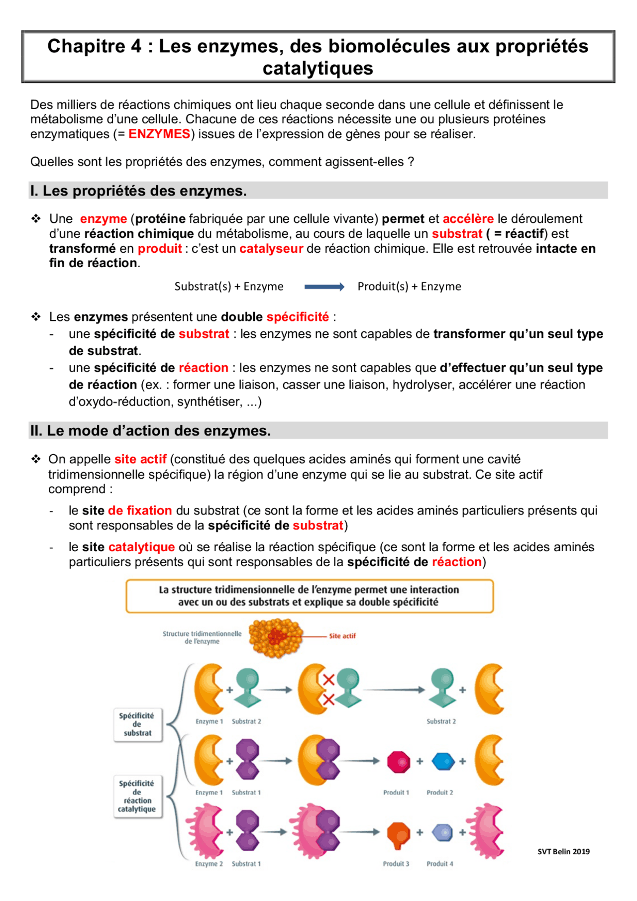 Cours Chapitre sur les enzymes 1ere spécialité | Résumés Sciences de la Vie et de la Terre (SVT ...