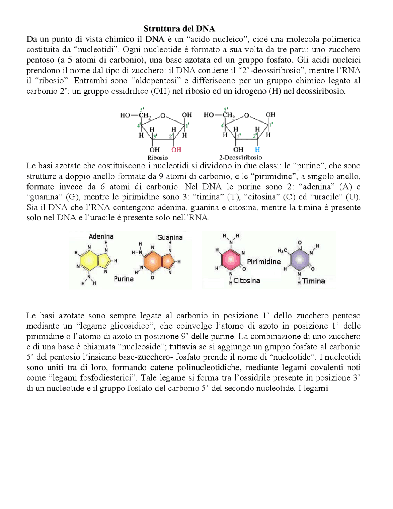 La Biologia Molecolare Appunti Di Biologia Molecolare Docsity