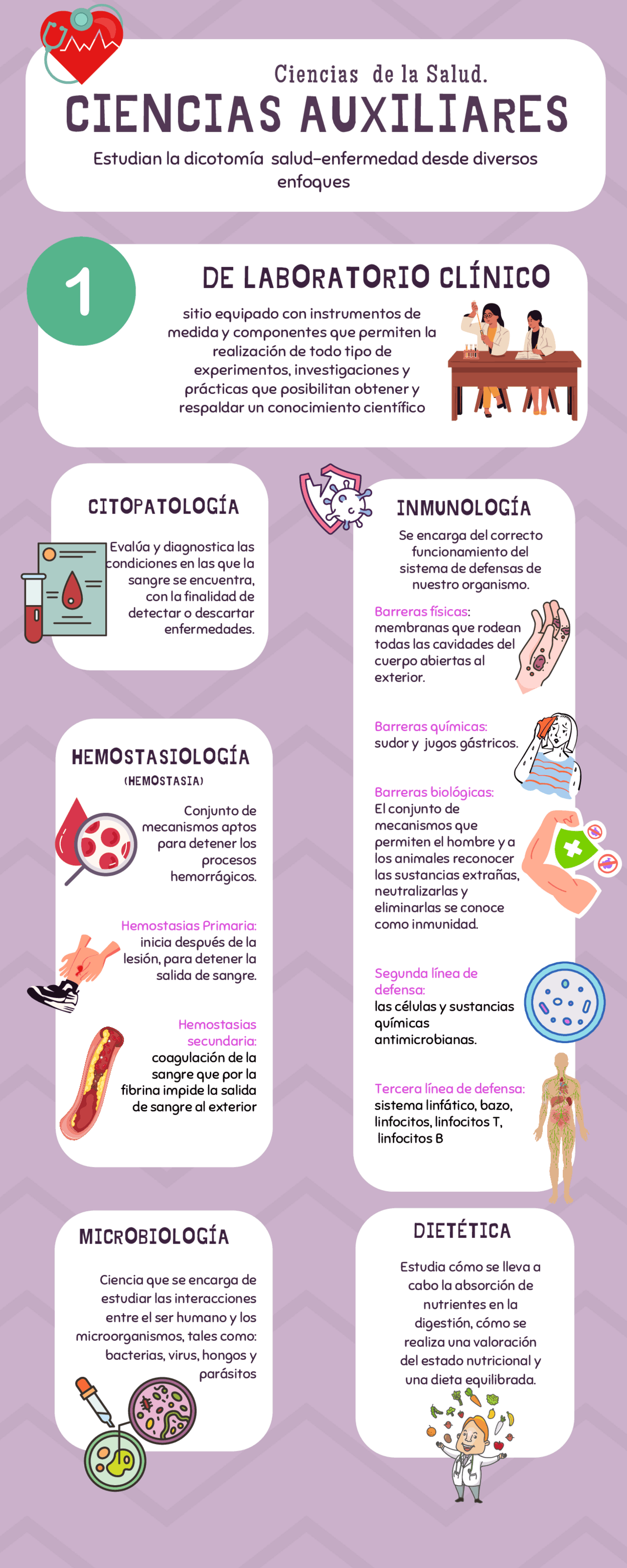 Infografía Ciencias Auxiliares | Esquemas y mapas conceptuales de Ciencias de la Salud | Docsity
