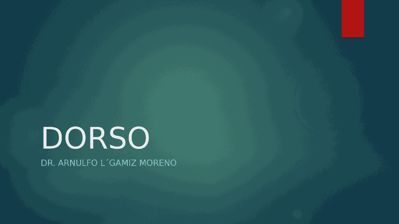 Anatomia Del Craneo Y Sus Partes Diapositivas De Anatomía Docsity