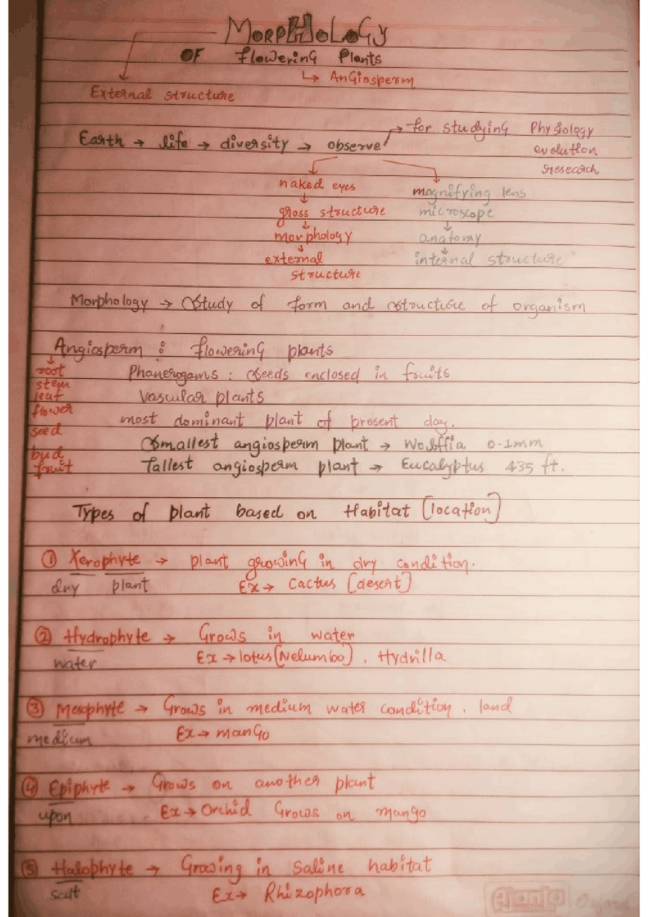 Animal kingdom short notes for neet ug | Cheat Sheet Biology | Docsity