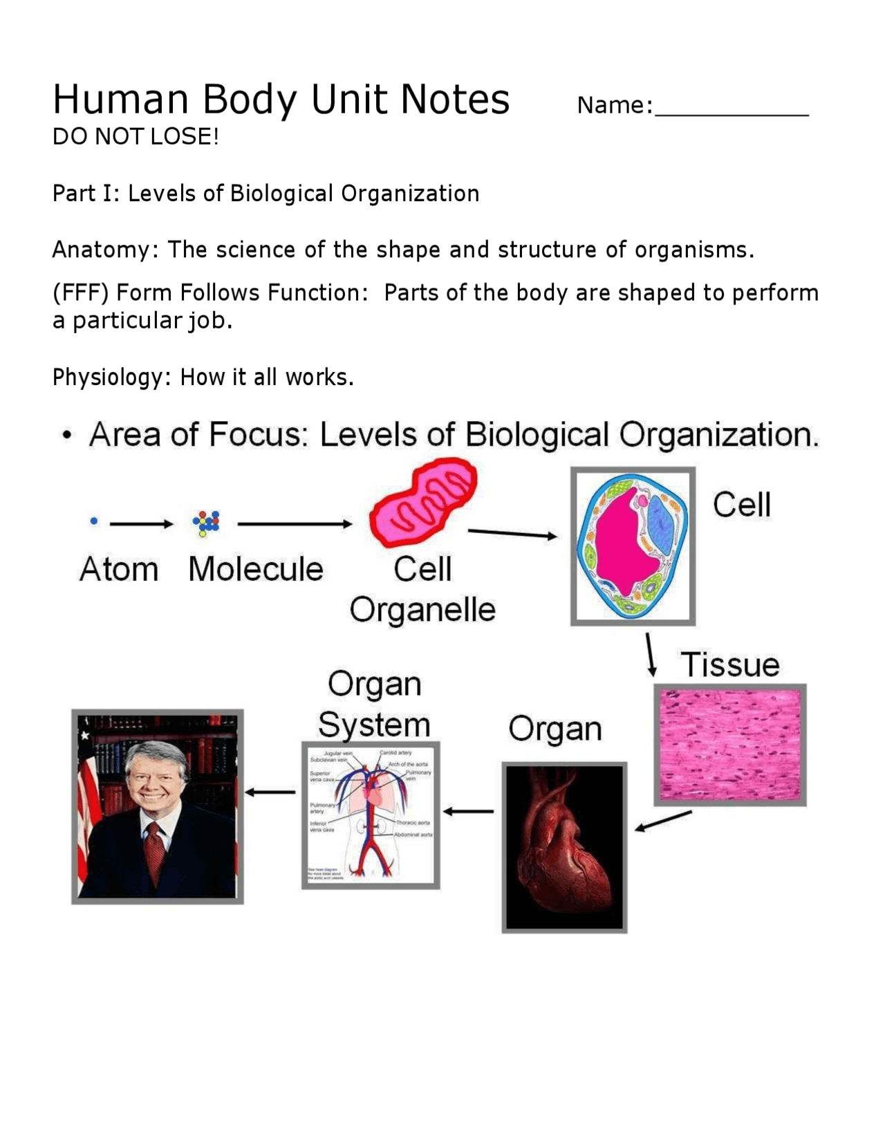 Explanation About The Body Text