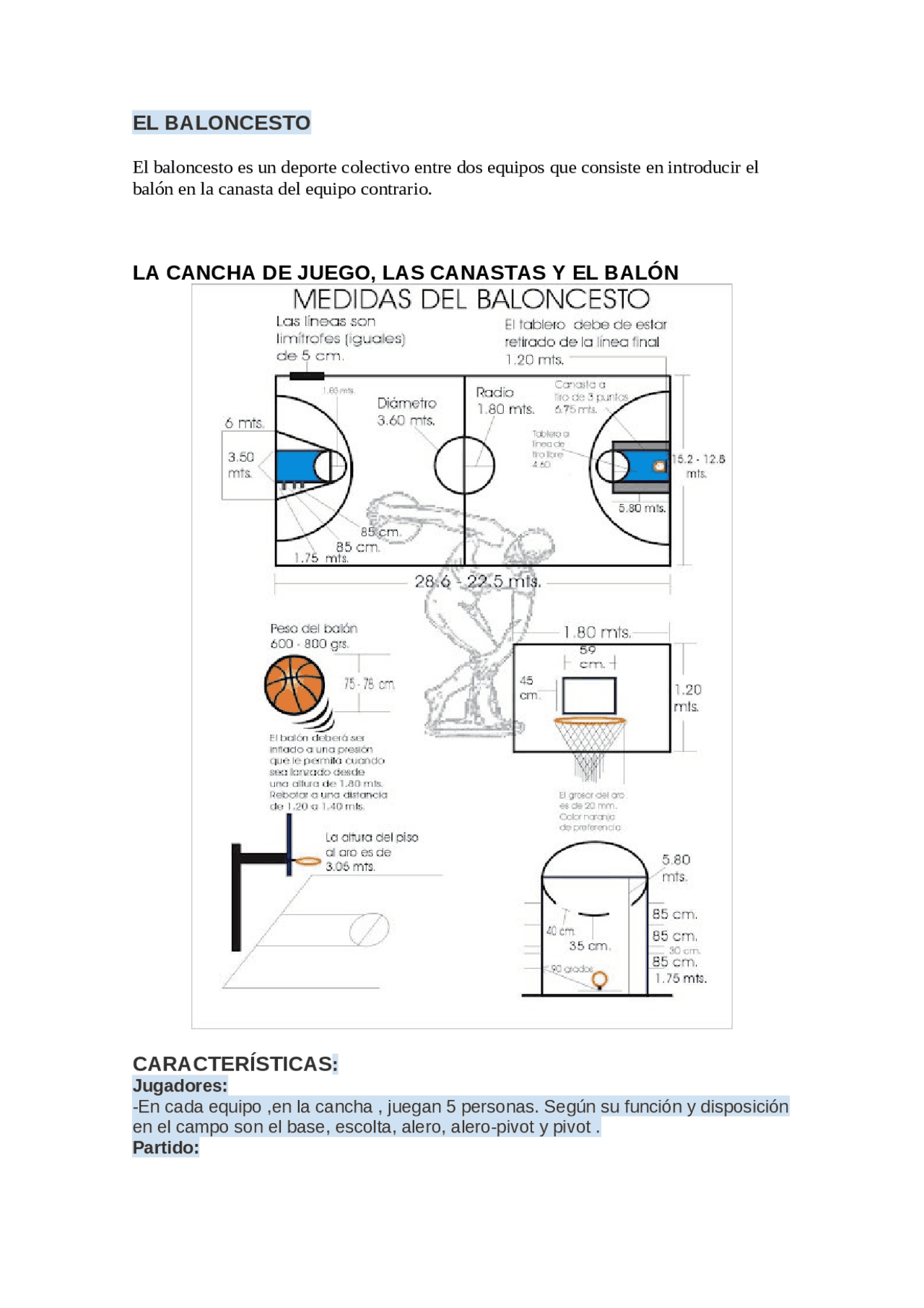 EL BALONCESTO REGLAS | Apuntes de Educación física | Docsity