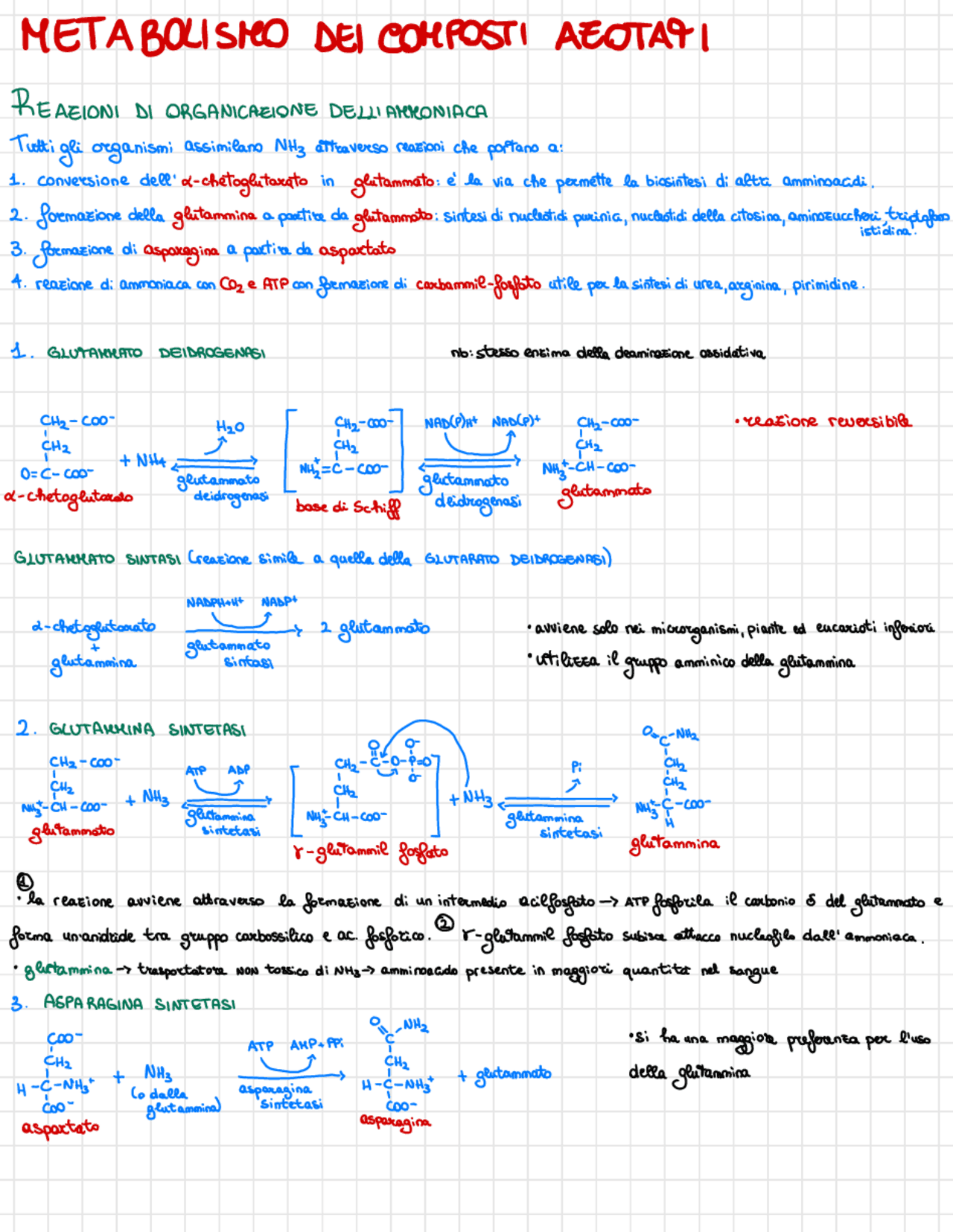 Biochimica 2023 Chiellini 1 Schemi E Mappe Concettuali Di