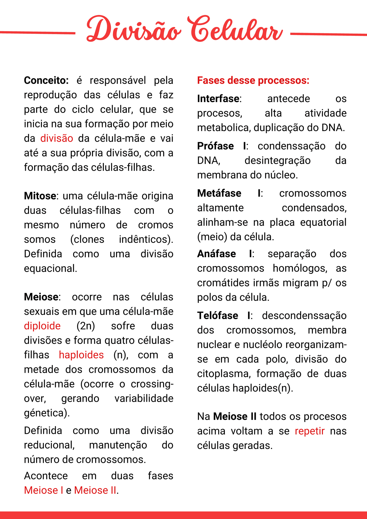 Divisão Celular Mitose E Meiose Processos Básicos Resumos