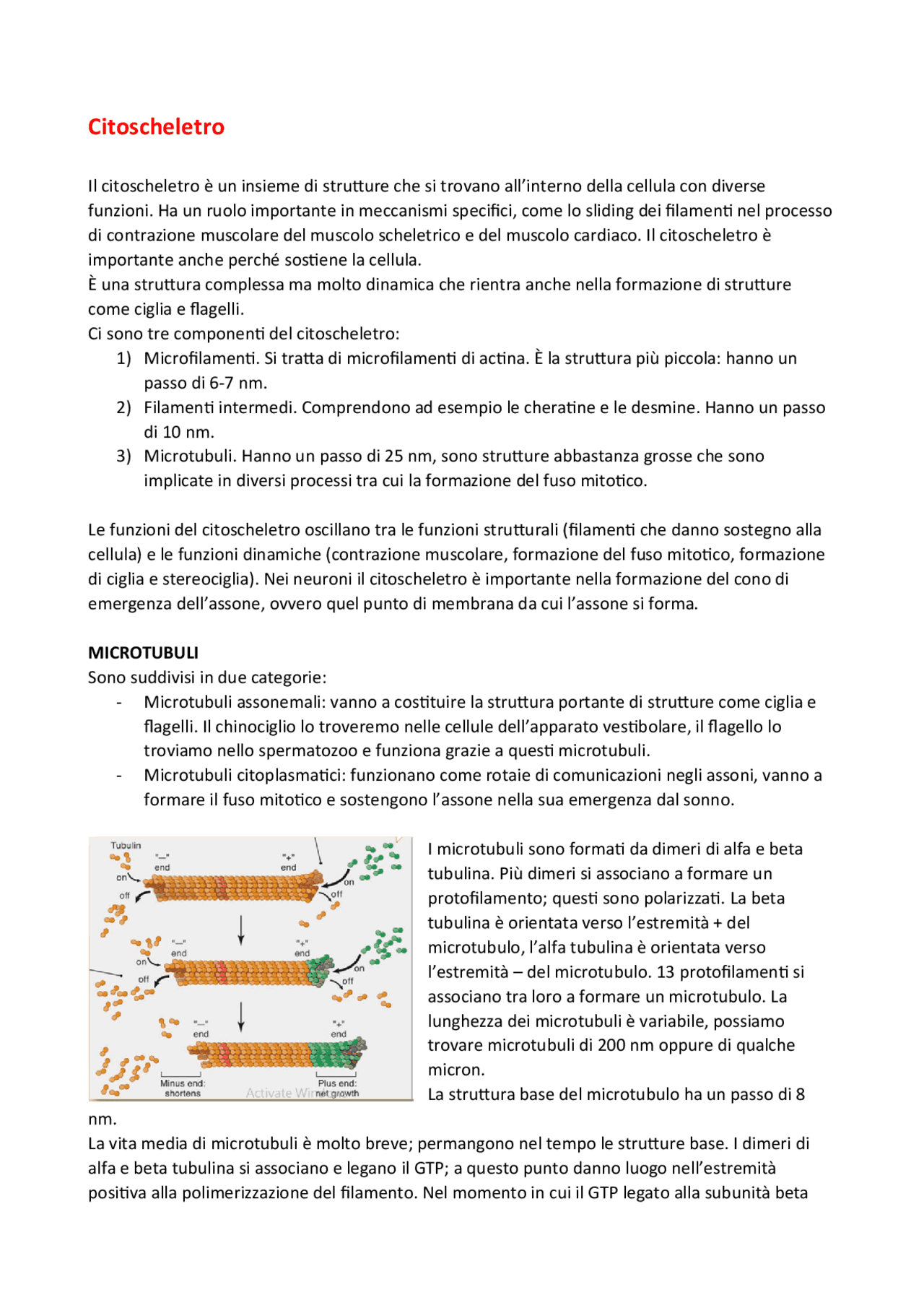 Citoscheletro Parte 1 Schemi E Mappe Concettuali Di Fisiologia Docsity