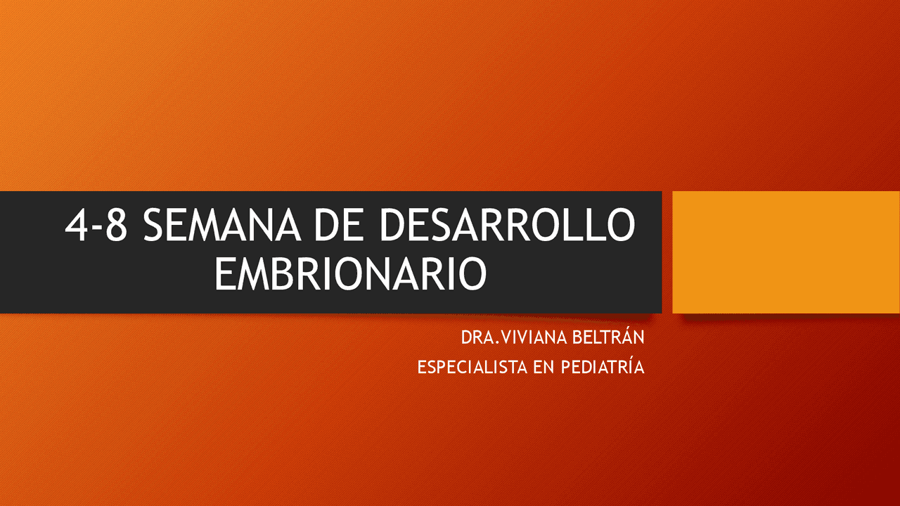 Embriologia Diapositivas Resumen Diapositivas De Embriología Docsity
