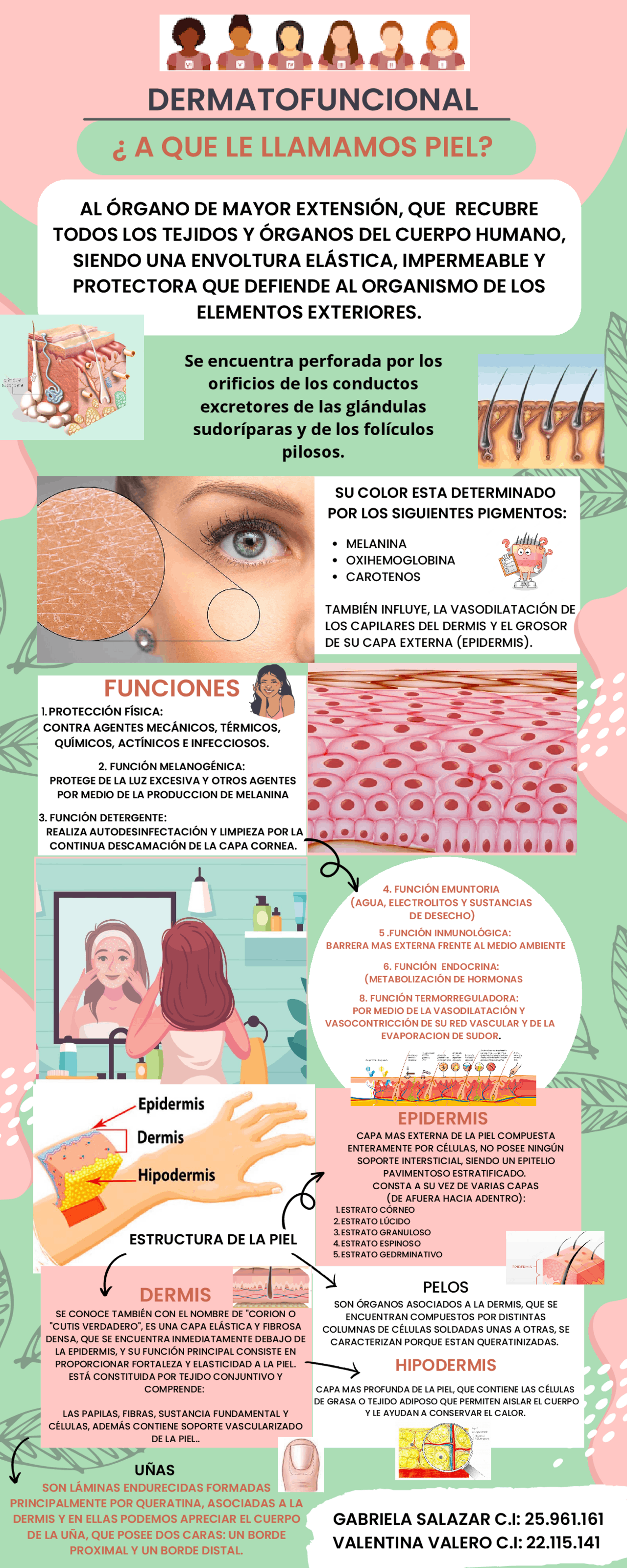 La piel, función y capas | Diapositivas de Dermatología | Docsity