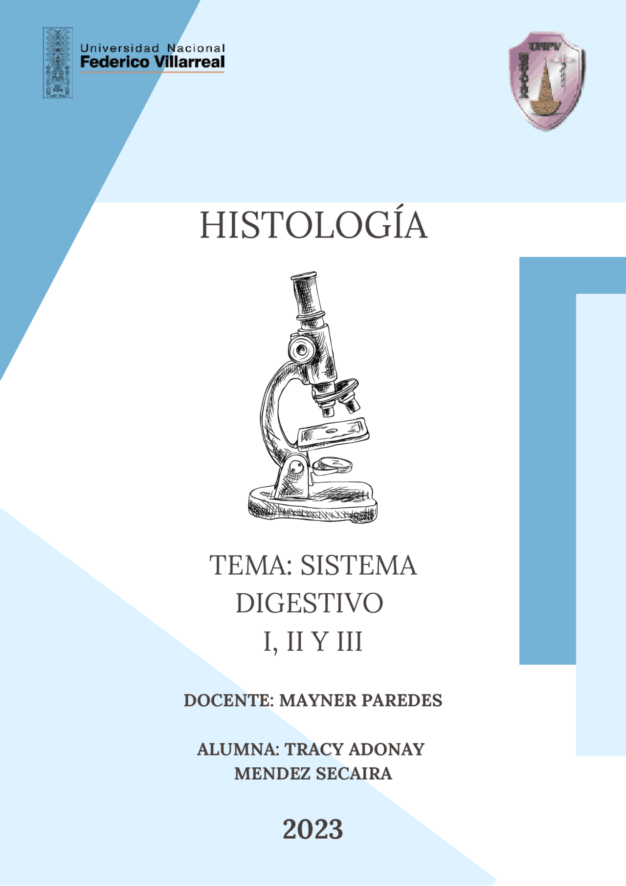 Dibujos De Laminas Histologicas Resúmenes De Histología Docsity
