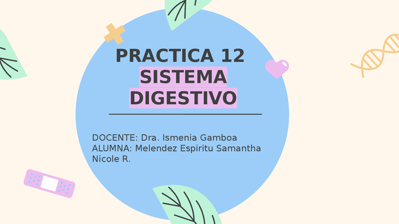 Practica De Embriologia Apuntes De Anatomía Aplicada Docsity