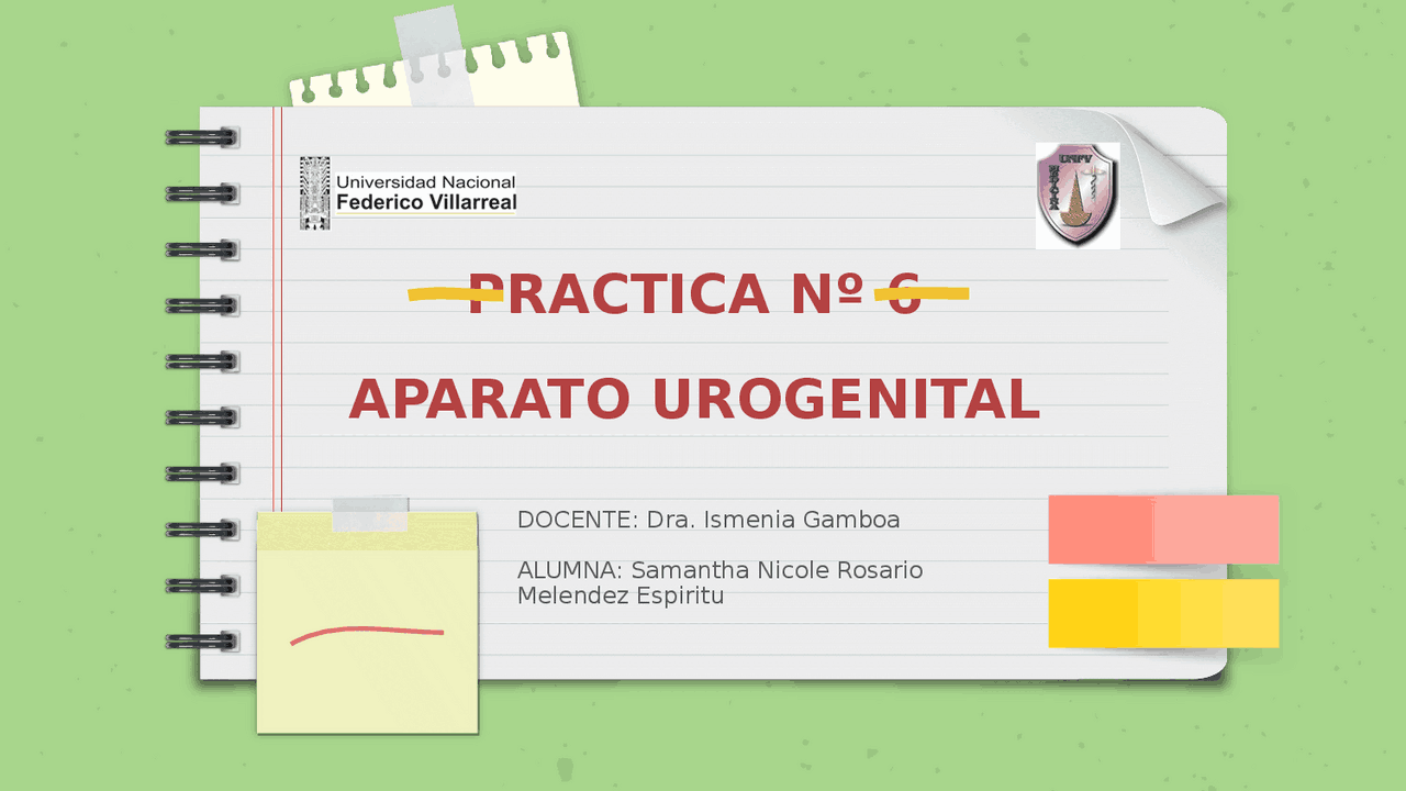 Practicas De Embriologia Diapositivas De Derecho Docsity