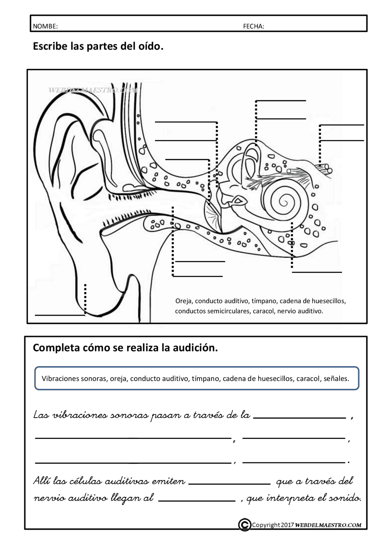 Naturales el sentido del oido para estudiar mejor | Resúmenes de ...