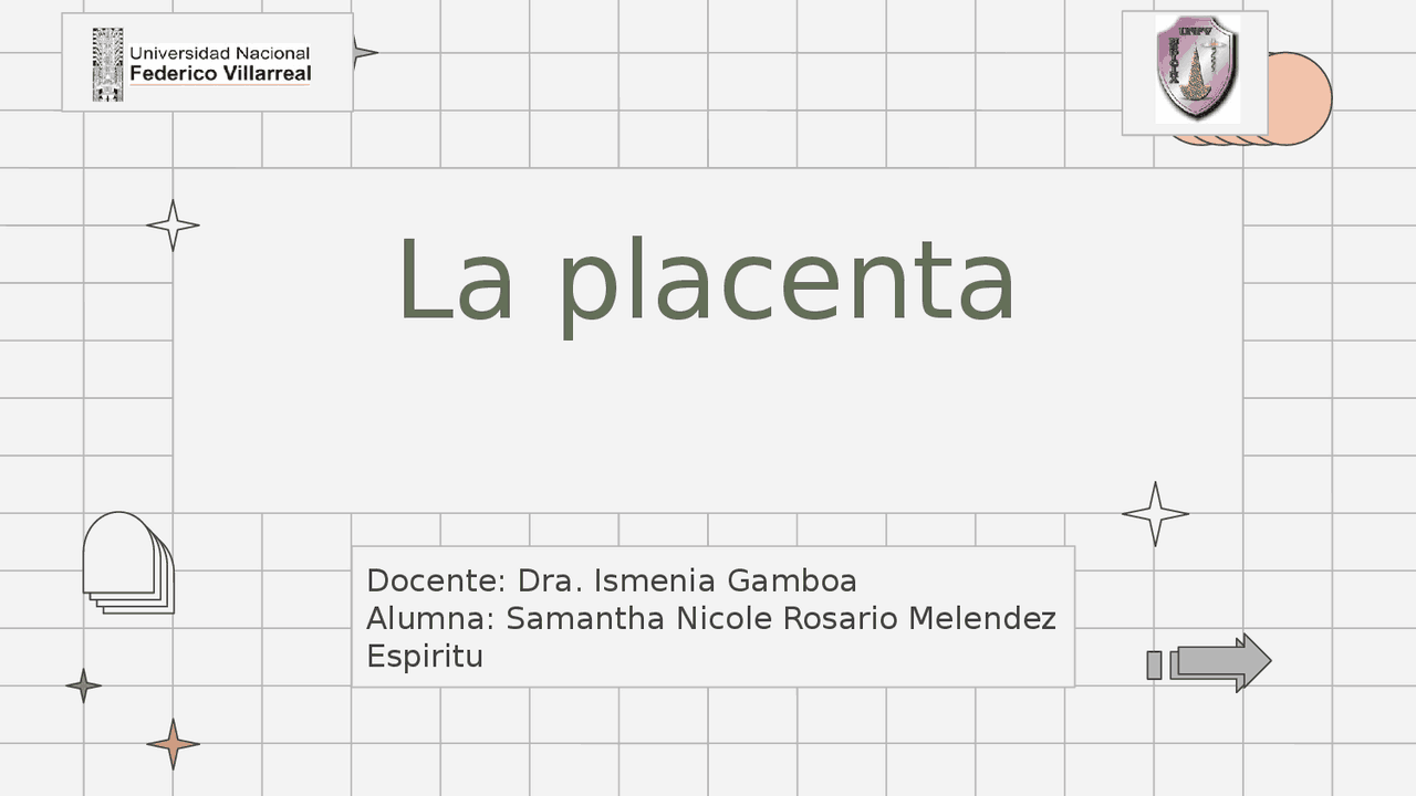 Practica De Embriologia Apuntes De Anatomía Aplicada Docsity
