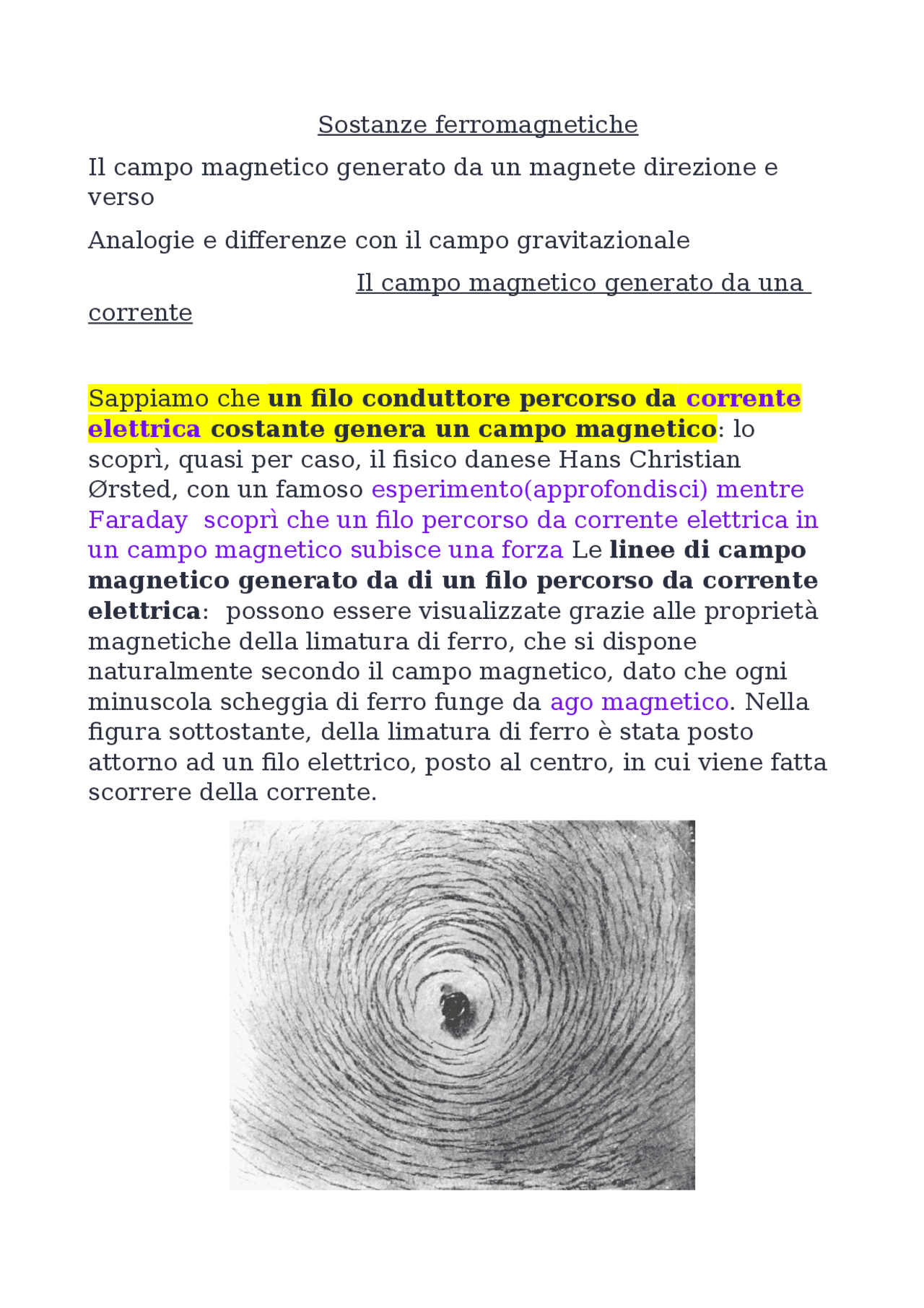 Il campo magnetico fisica | Slide di Fisica | Docsity
