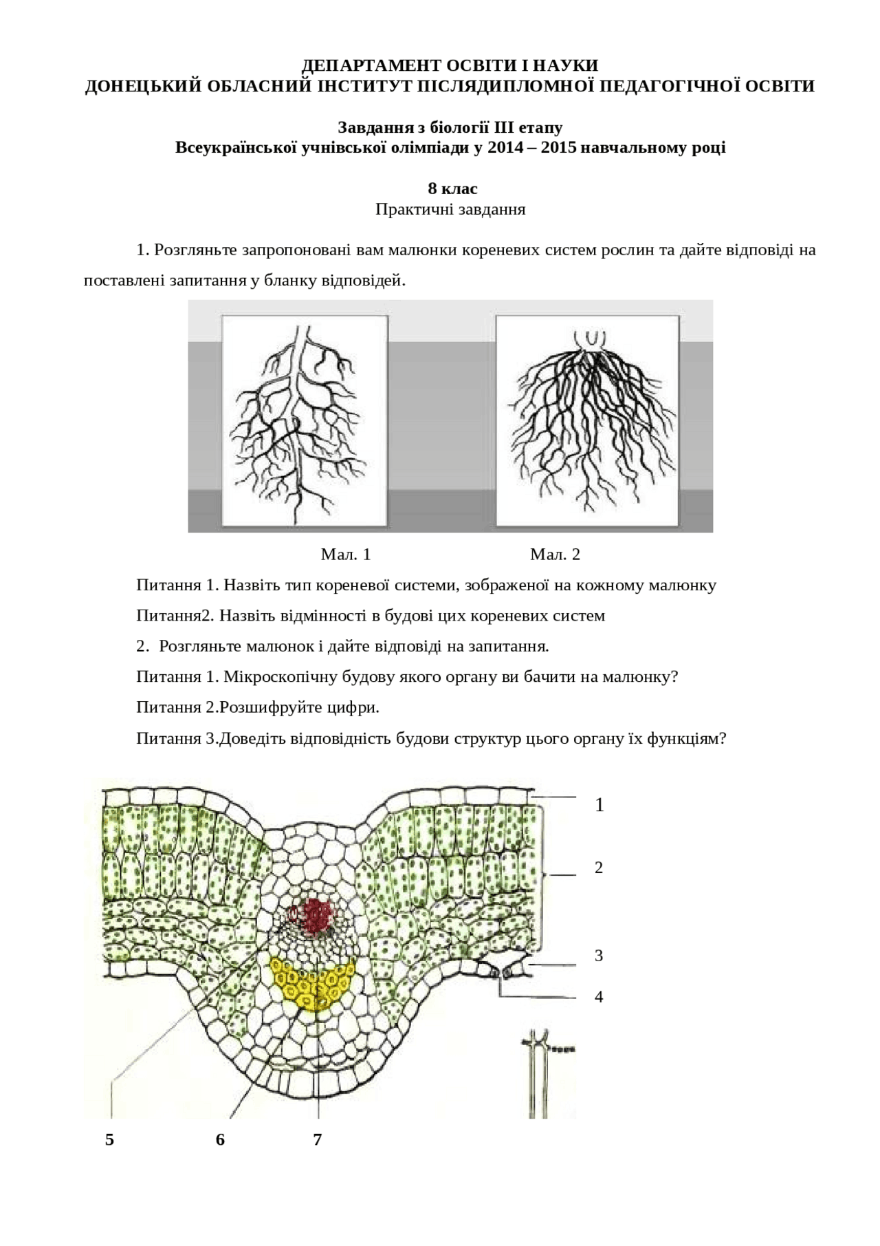 Біологія людини та екологія Схемы Биология Docsity