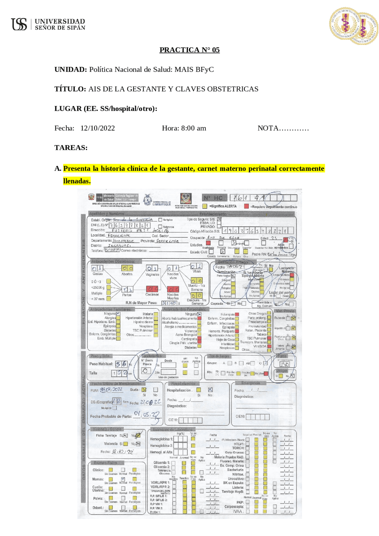 AIS DE LA GESTANTE Y CLAVES OBSTETRICAS | Guías, Proyectos ...