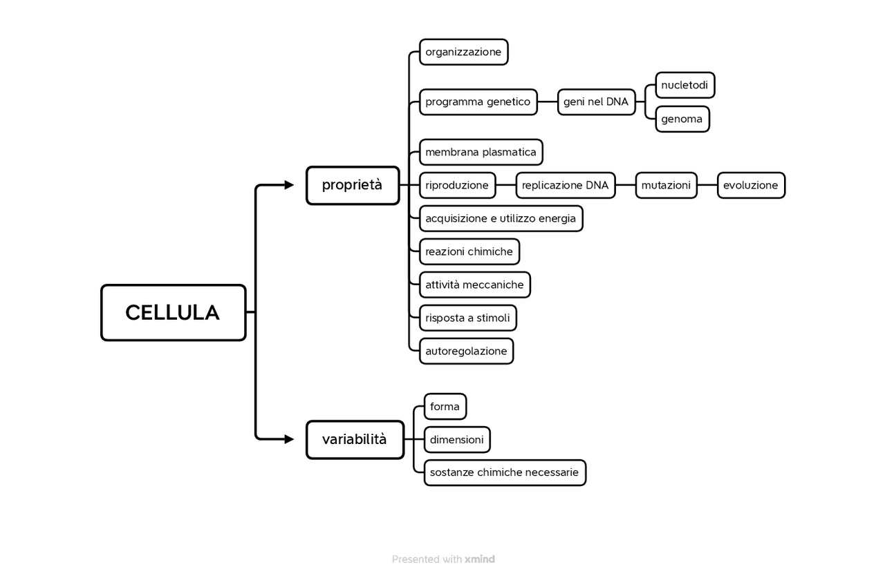Replicazione Del Dna Schema Schemi E Mappe Concettuali Di Bi