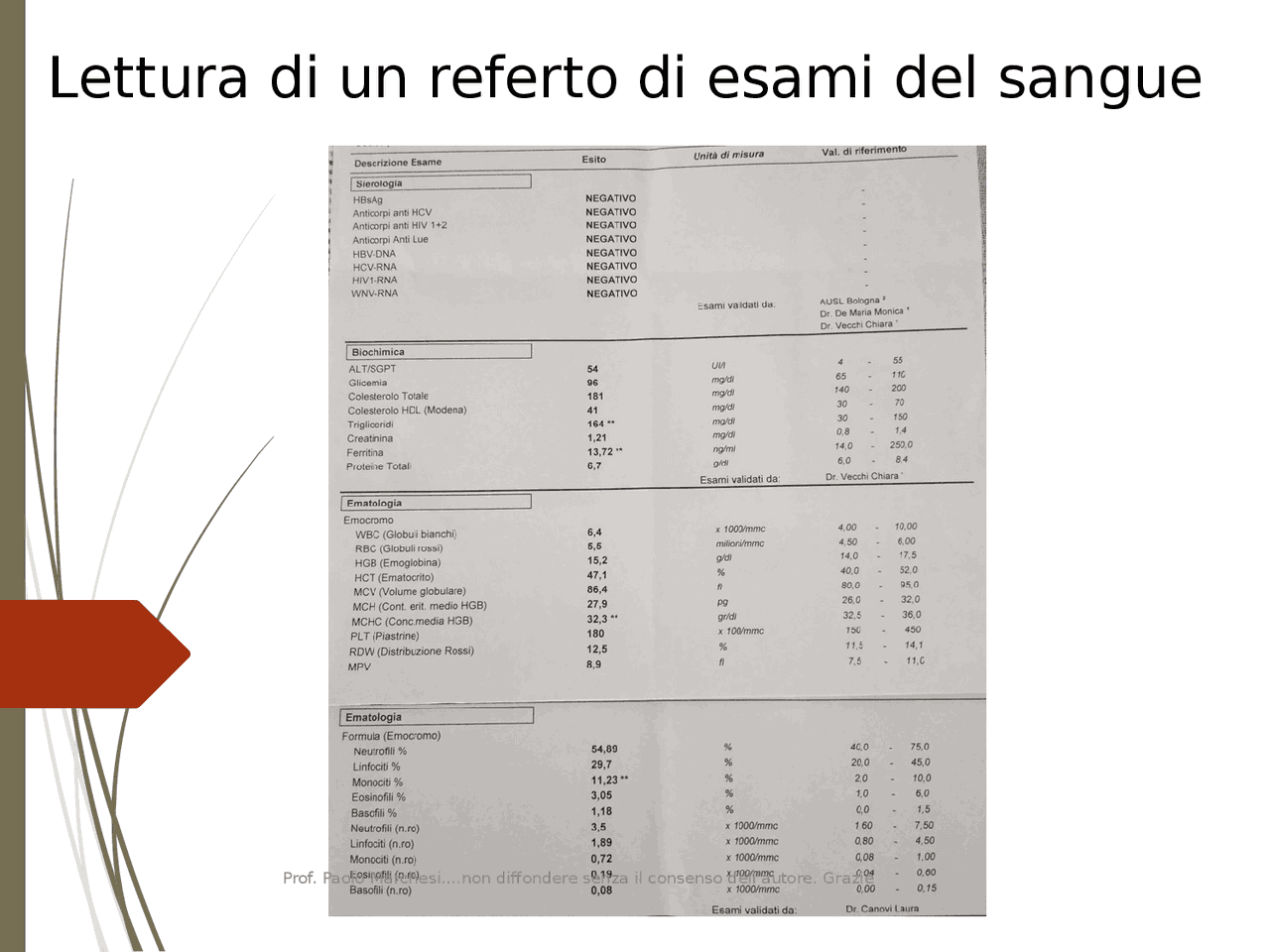 Anatomia Corpo Umano Schemi E Mappe Concettuali Di Anatomia Docsity