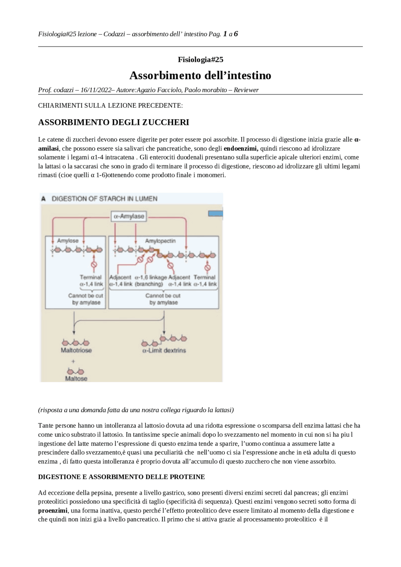 ASSORBIMENTO INTESTINO | Appunti di Fisiologia | Docsity