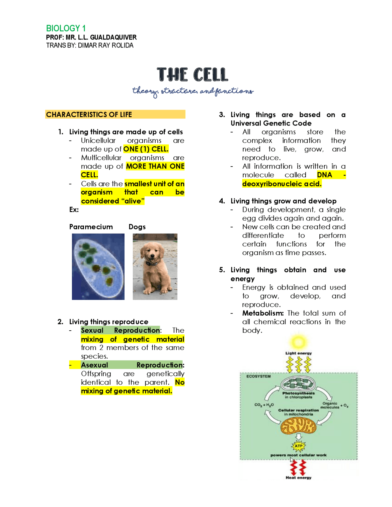 The Cell the smallest structural and functional unit of an organism ...