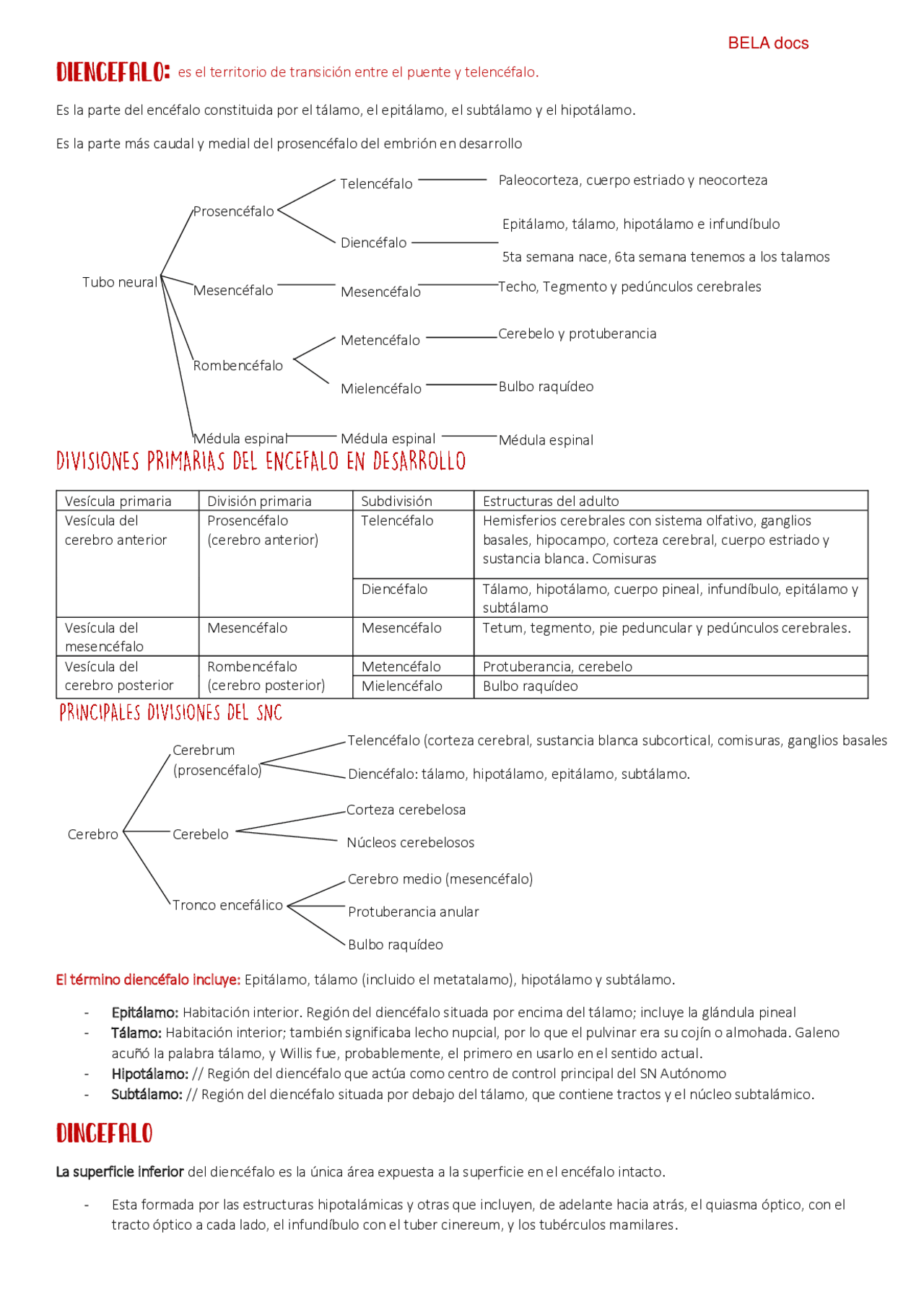 Estructuras Diencefalicas Apuntes De Neuroanatomía Docsity