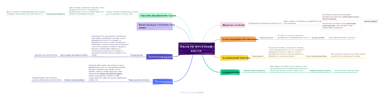 Каналы височной кости Схемы Анатомия Docsity