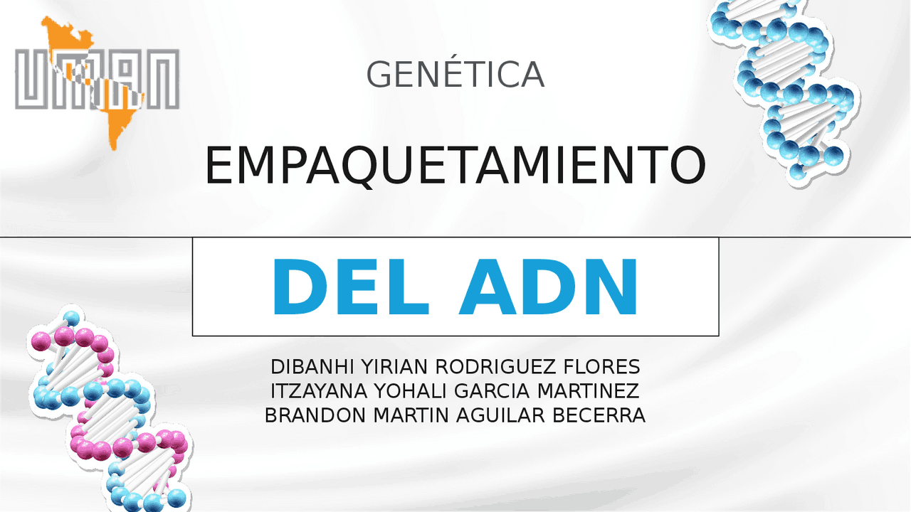 Empaquetamiento del adn | Esquemas y mapas conceptuales de Genética | Docsity