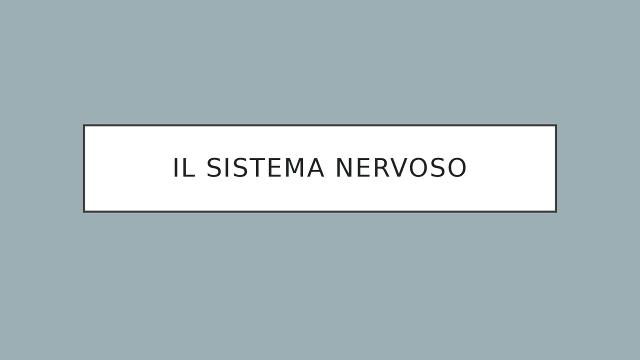 Il Sistema Nervoso Centrale E Periferico Slide Di Scienze Umane Docsity