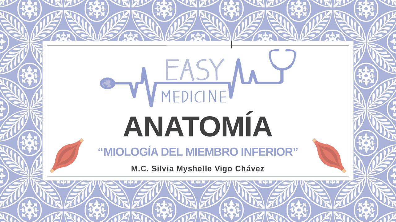 Generalidades De AnatomÍa Humana Diapositivas De Anatomía Docsity