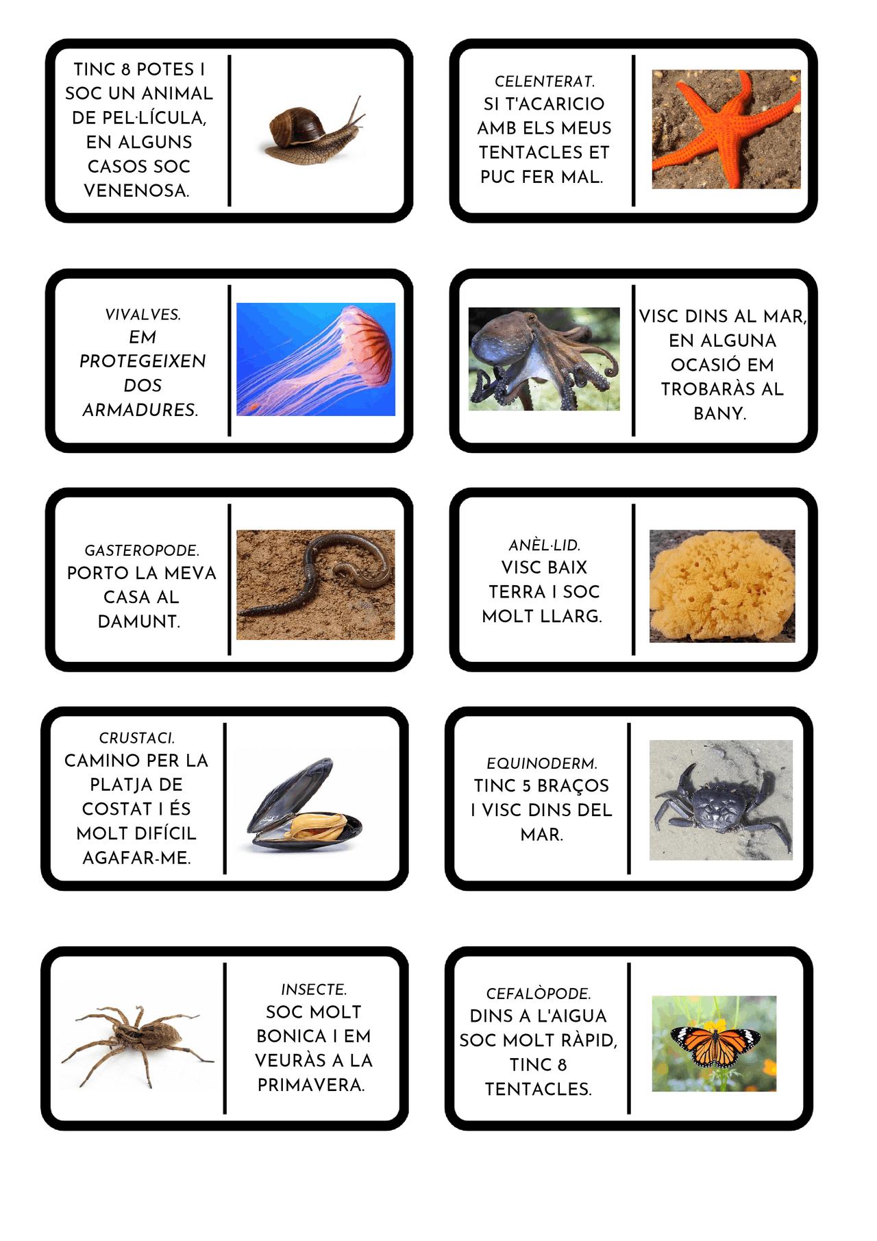 Vertebrados e invertebrados con material didáctico para estudio ...