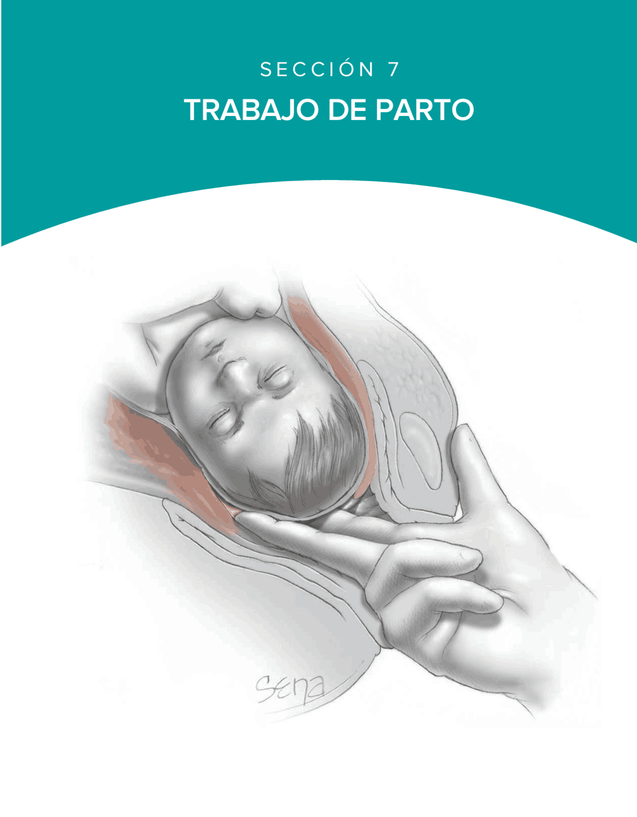 Ginecologia y obstetricia | Apuntes de Ginecología | Docsity