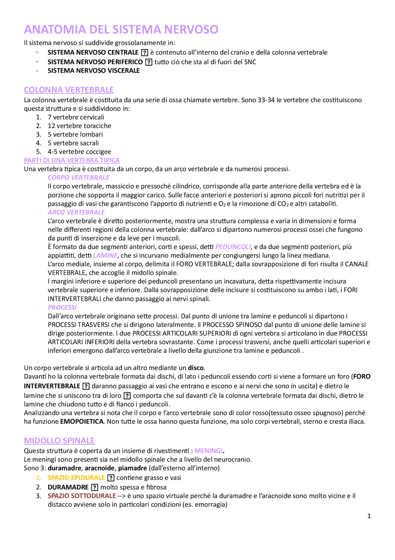 Anatomia Del Sistema Nervoso Summaries Anatomy Docsity