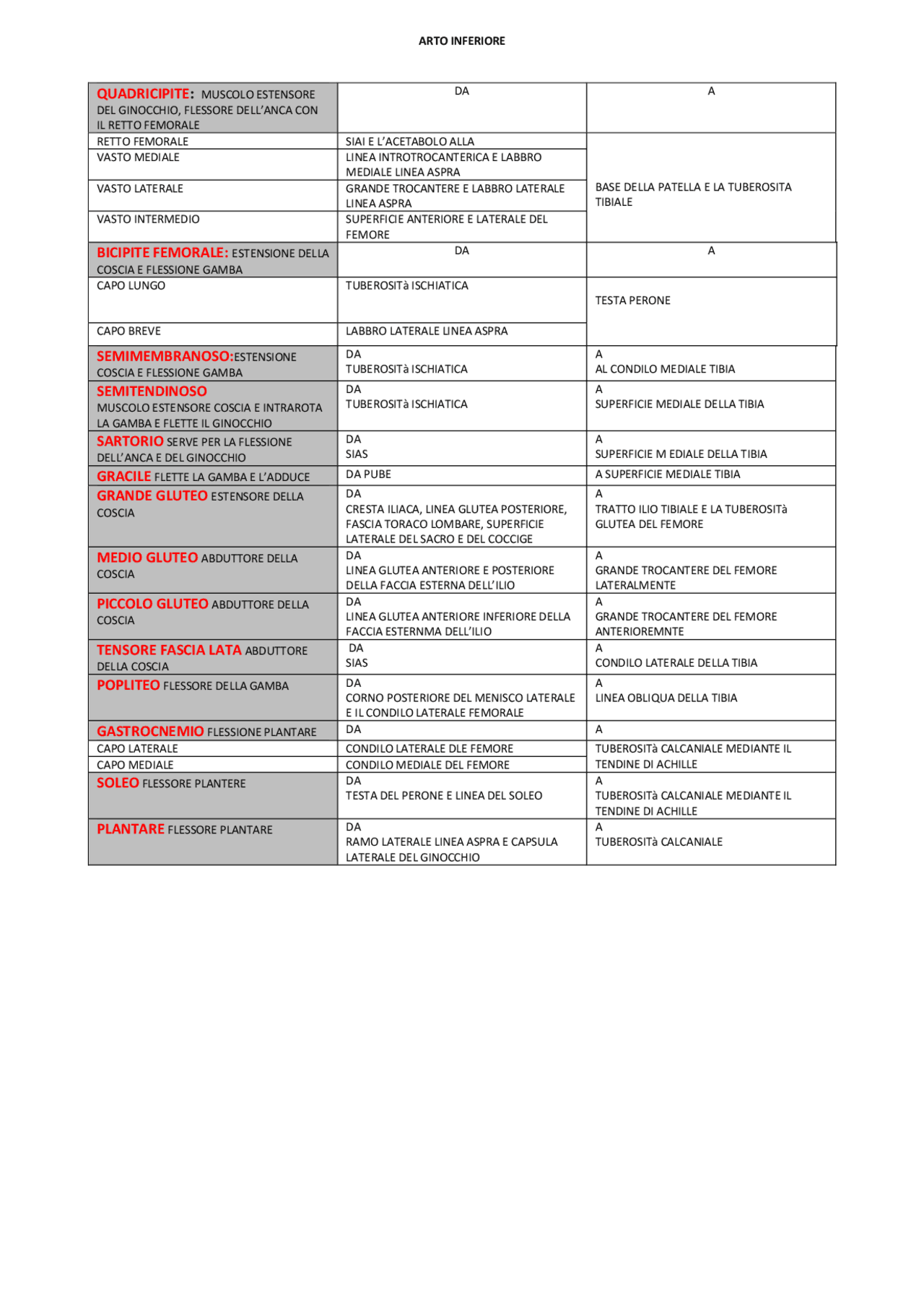Schema Riassuntivo Arti Inferiori Schemi E Mappe Concettuali Di