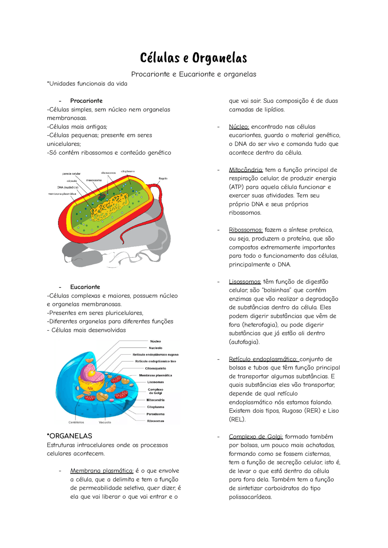 Resumo Biologia Celular Completo Slides Biologia Celular Docsity