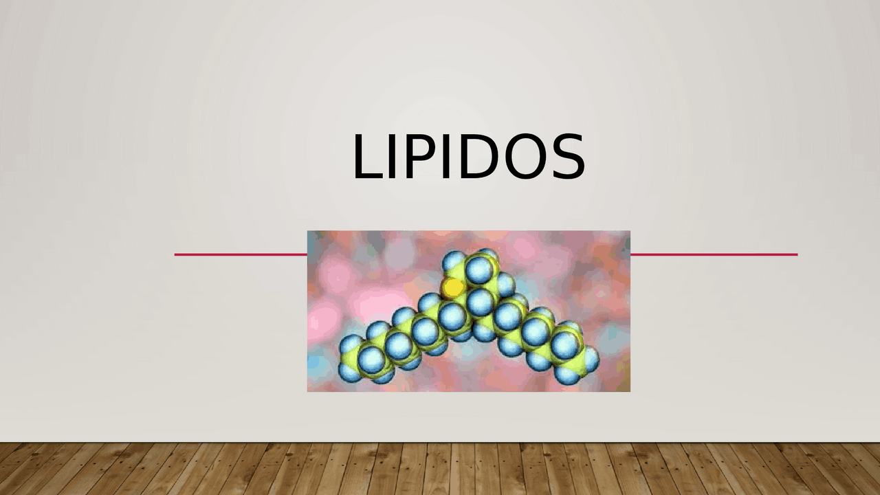 Presentación Sobre Los Lípidos Diapositivas De Biología Docsity