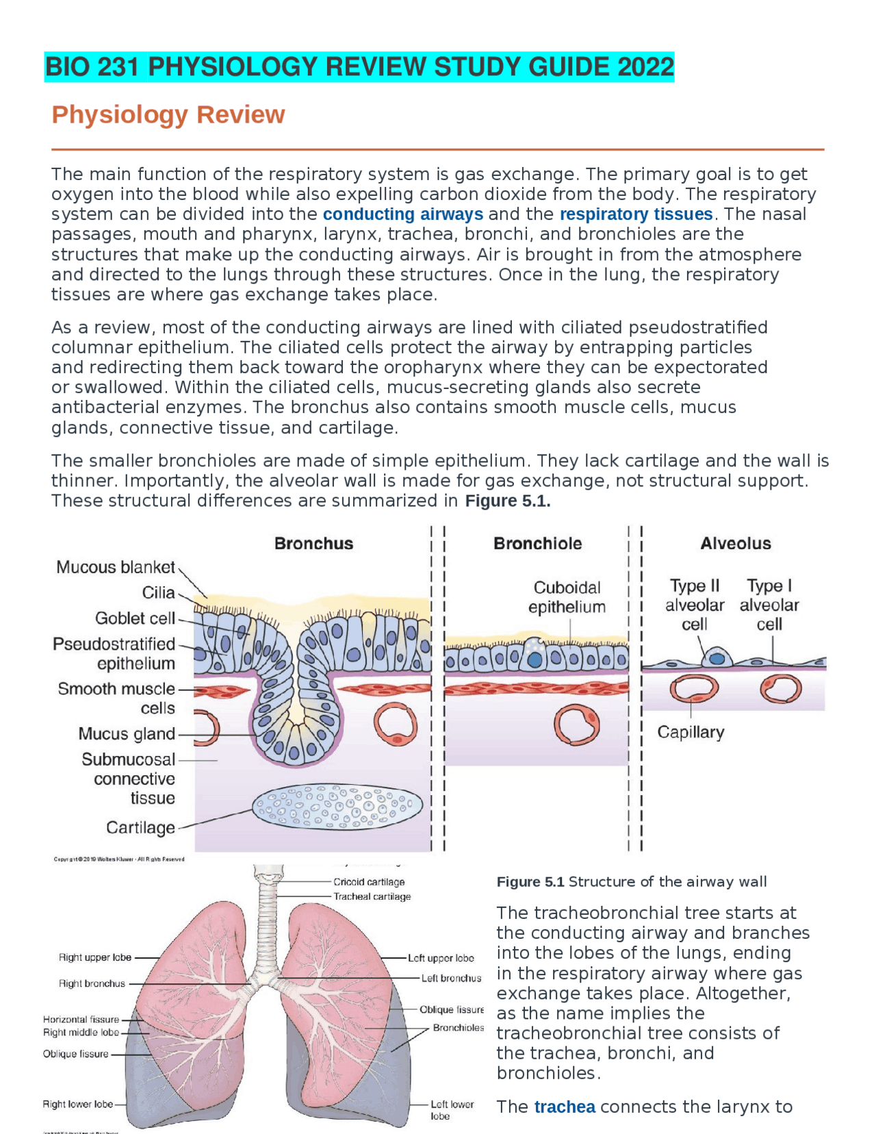 Pathophysiology nurs 231 MODULE 1 exam questions with answers | Exams Nursing | Docsity