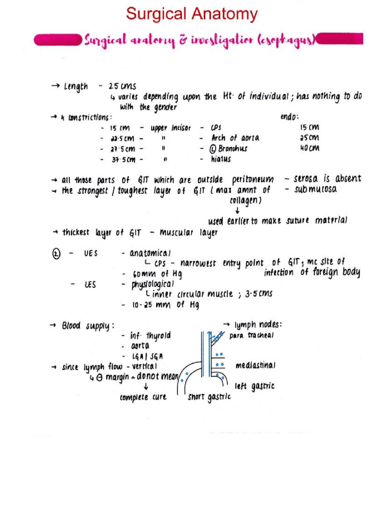 Surgical Anatomy Notes | Study Guides, Projects, Research Medical ...