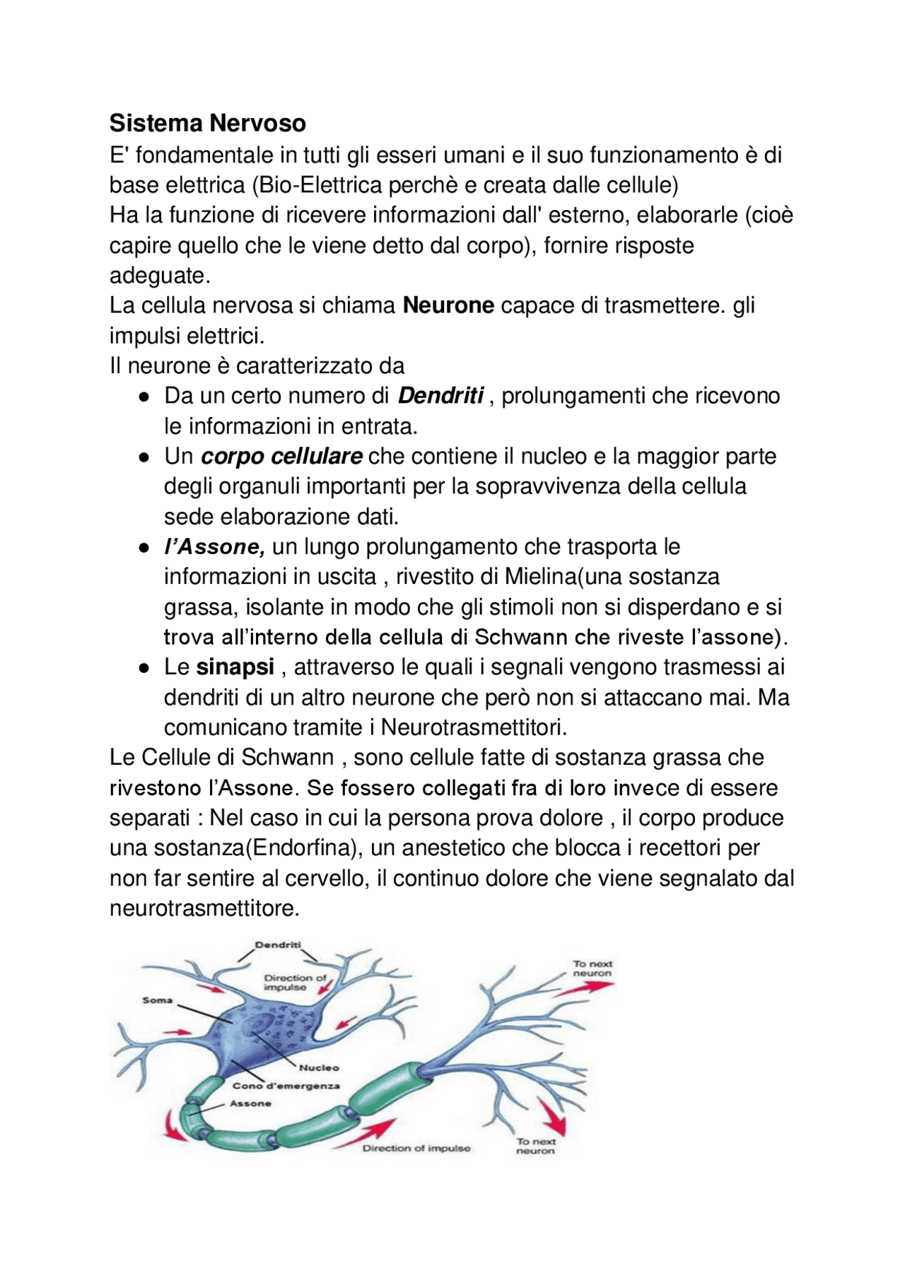 Appunti Schematizzati Appunti Di Biologia Docsity