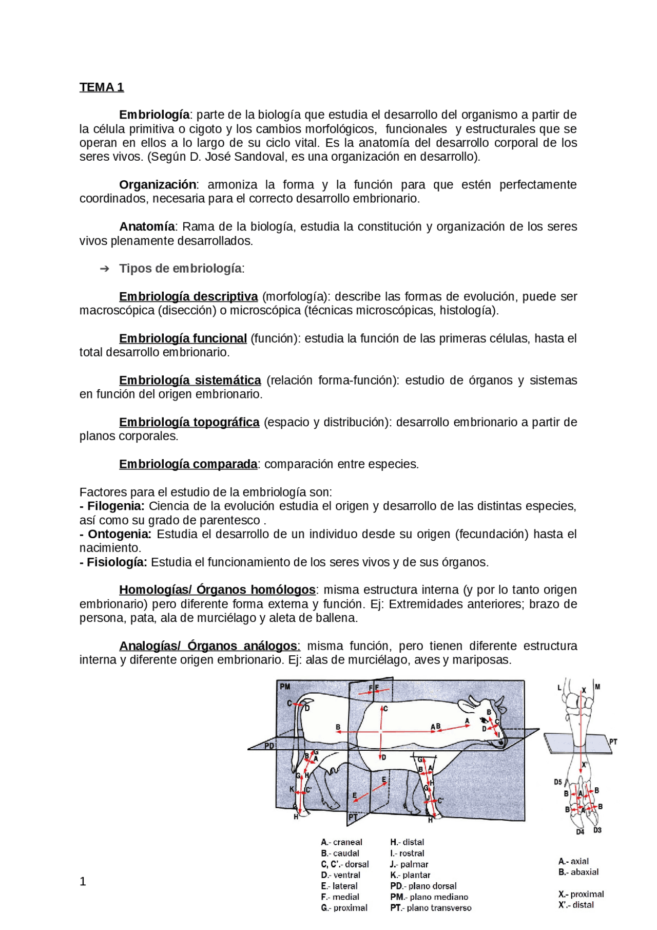 Tema 1 Conceptos Embriología Apuntes De Embriología Docsity