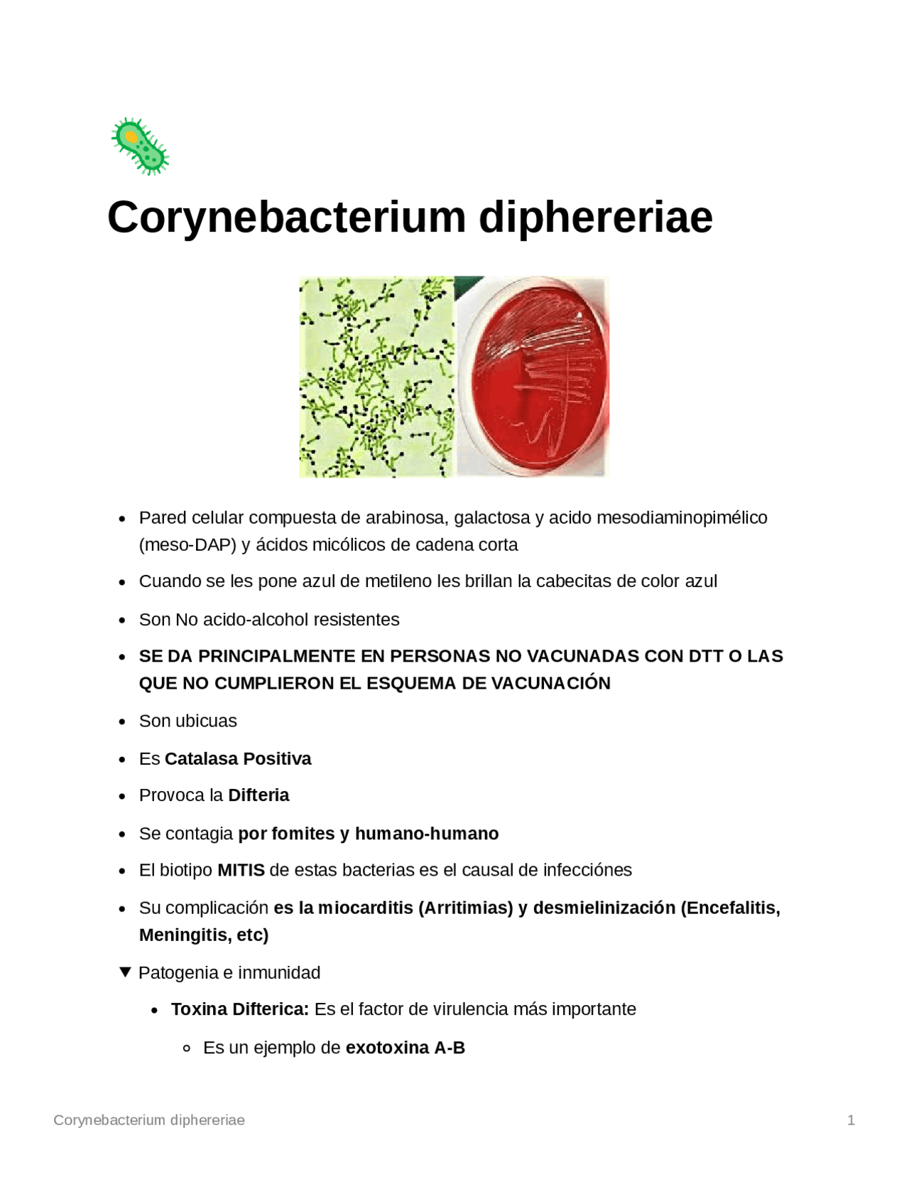 Corynebacterium Diphteriae | Resúmenes de Microbiología | Docsity