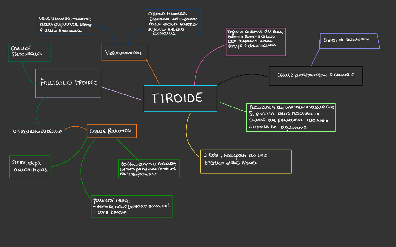 Mappa concettuale della tiroide | Schemi e mappe concettuali di ...
