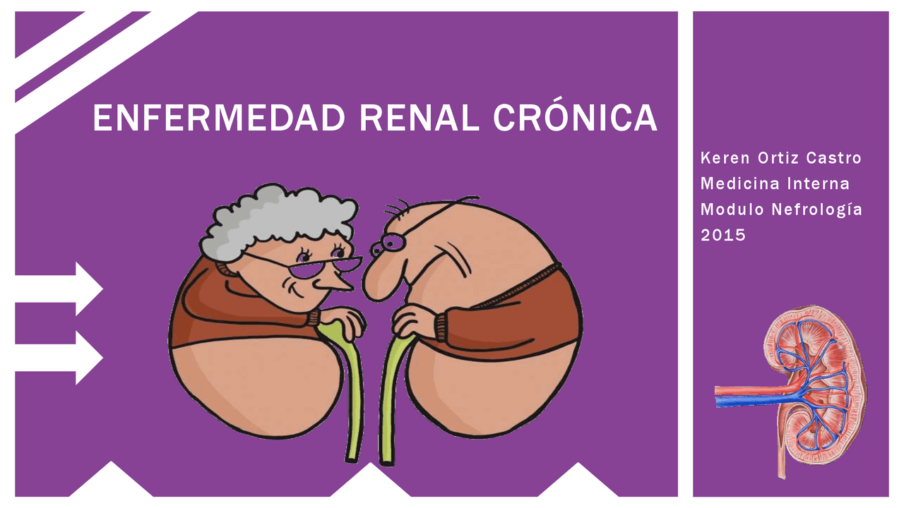 Sistema Renal Avanzado Monografías Ensayos De Medicina Interna Docsity