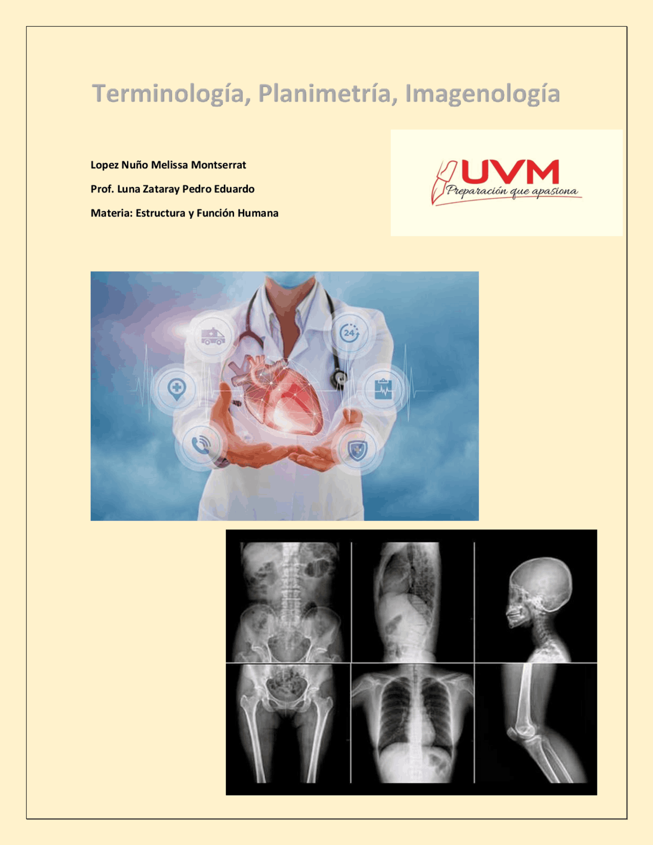 Terminología de imagen | Guías, Proyectos, Investigaciones de Anatomía | Docsity
