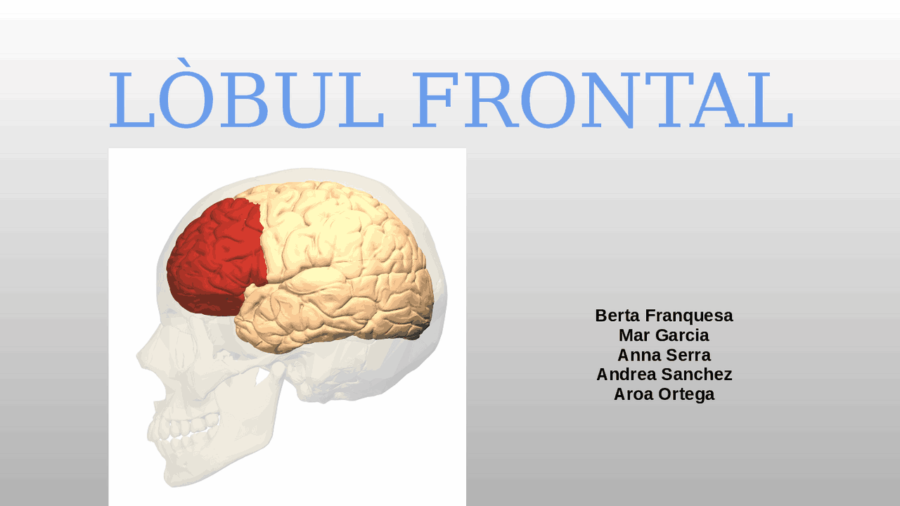 Trabajo sobre el lóbulo frontal | Ejercicios de Psicología | Docsity