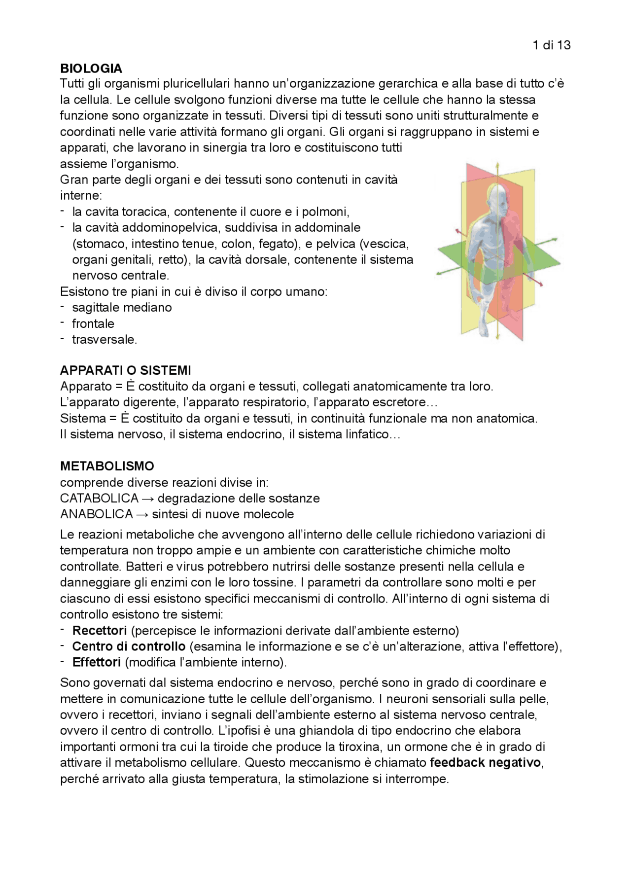 Il Corpo Umano Parte 1 Appunti Di Biologia Docsity