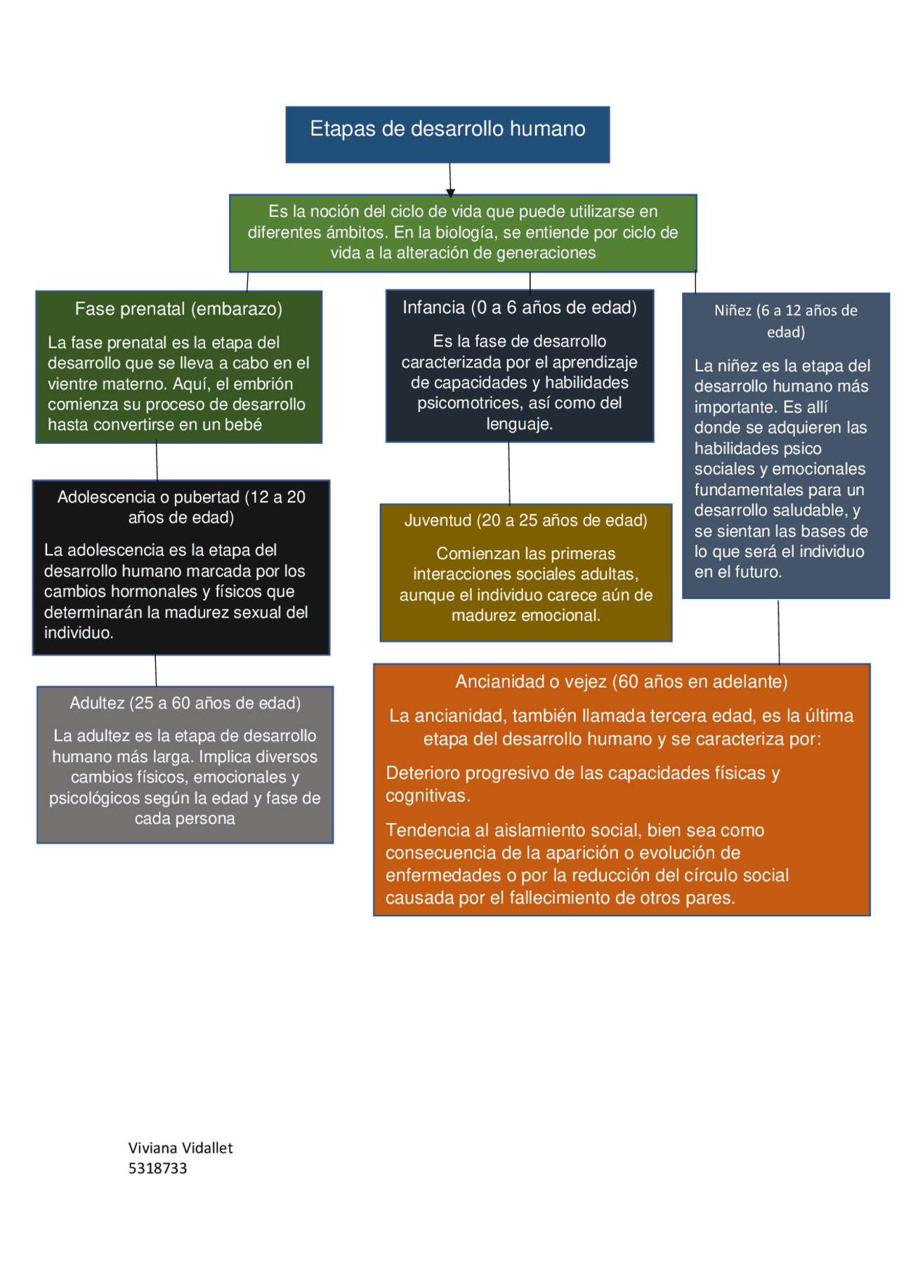 Desarrollo Humano Desde El Nacimiento Resúmenes De Desarrollo Humano