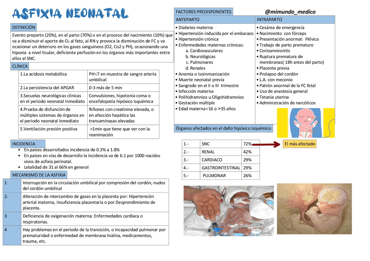 Asfixia neonatal en pediatría | Apuntes de Pediatría | Docsity