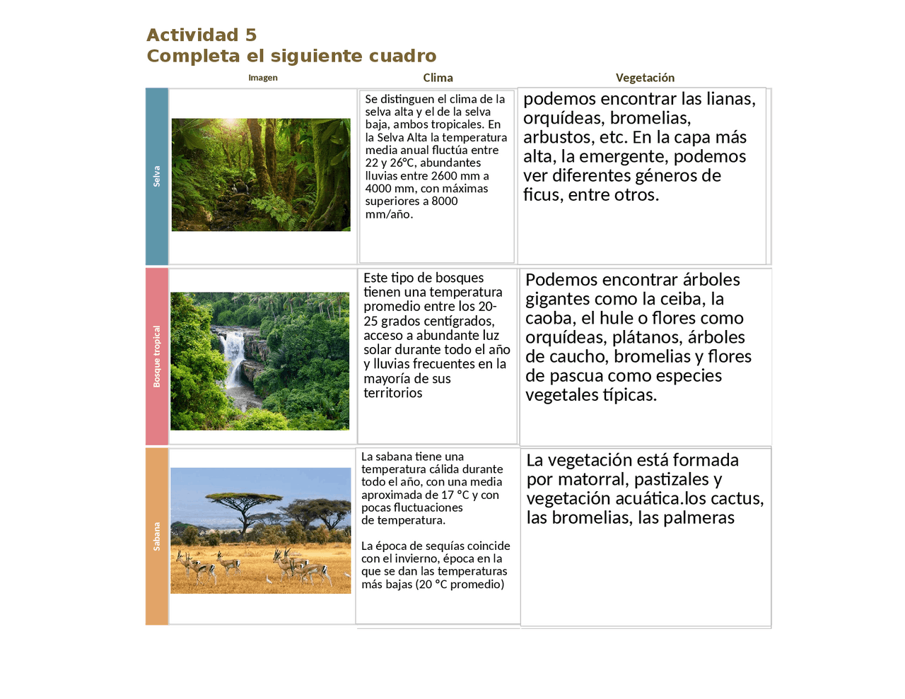 Regiones Naturales Esquema