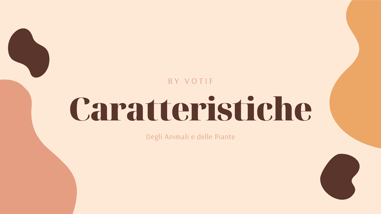 Schema Semplcissimo Sulle Piante Schemi E Mappe Concettuali Di